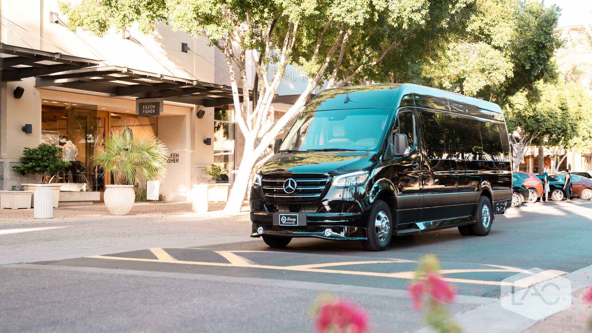 Sprinter Van Service in New York - Elegant Limo
